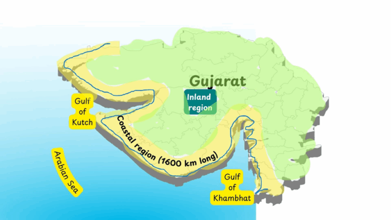5kW Solar in Gujarat: Cost, Savings, ROI & Payback Analysis (2025 Guide ...